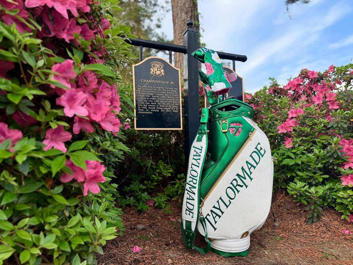 Gallery - World Tour Golf